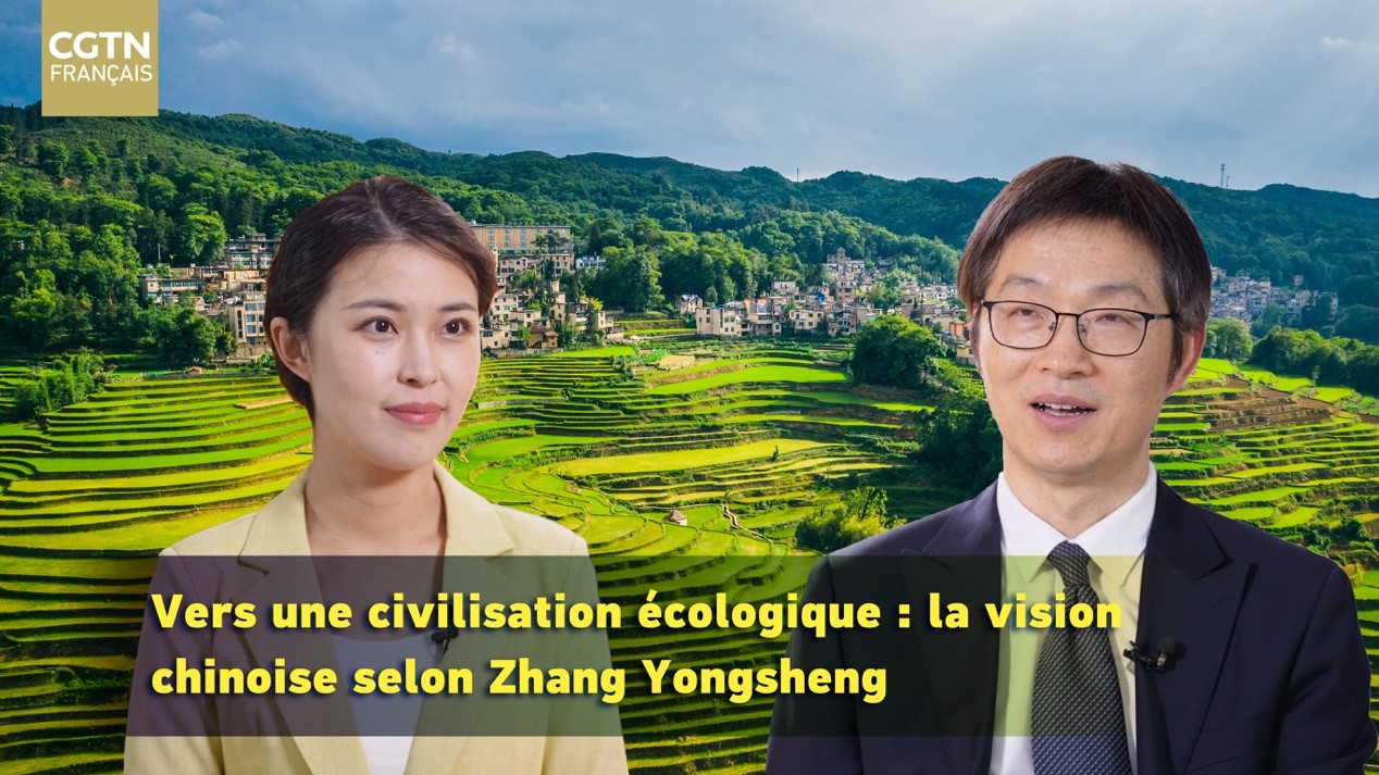 Vers une civilisation écologique : la vision chinoise, selon Zhang ...