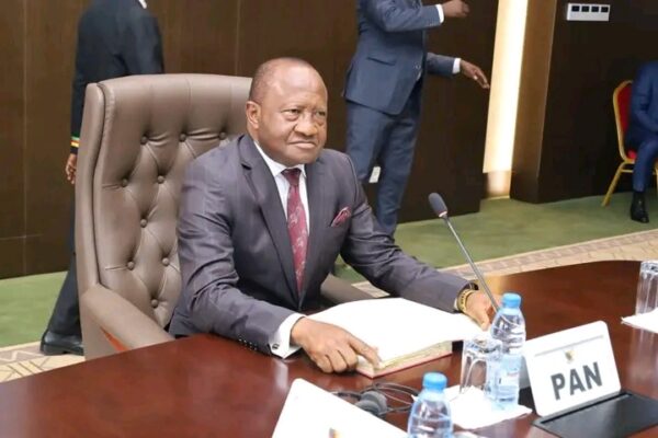 Cameroun : des nouveaux présidents au Parlement - Actu Chine-Cameroon